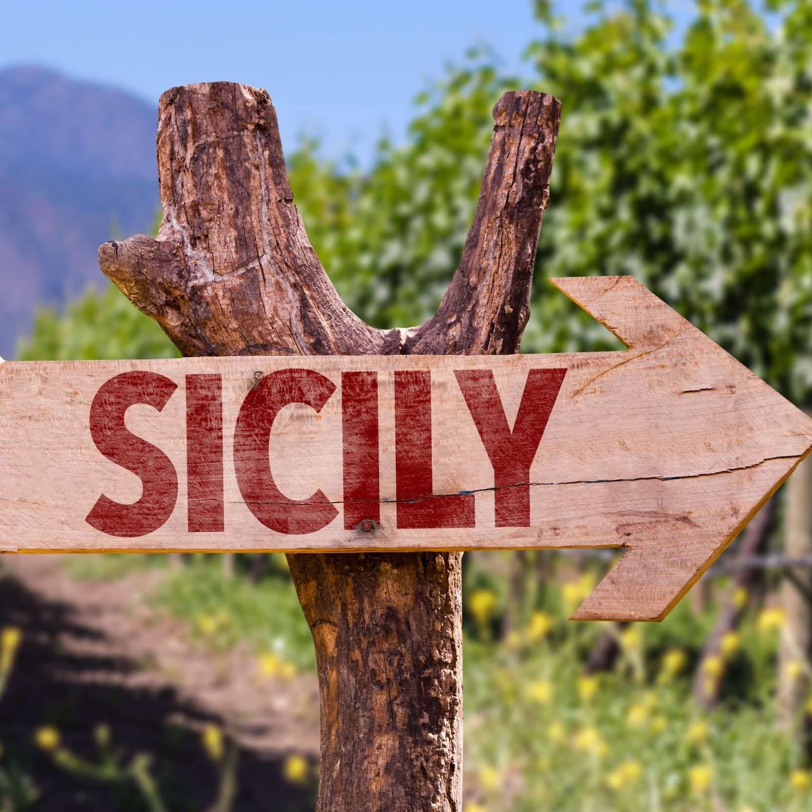 Taormina Cruise Terminal - Shore Tours in Sicily